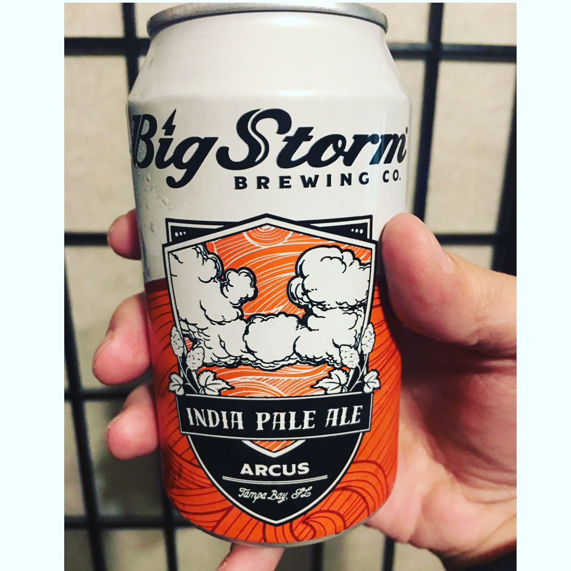 The Top 10 Best Craft Brewers in Tampa, FL – The Craft Beer Corner